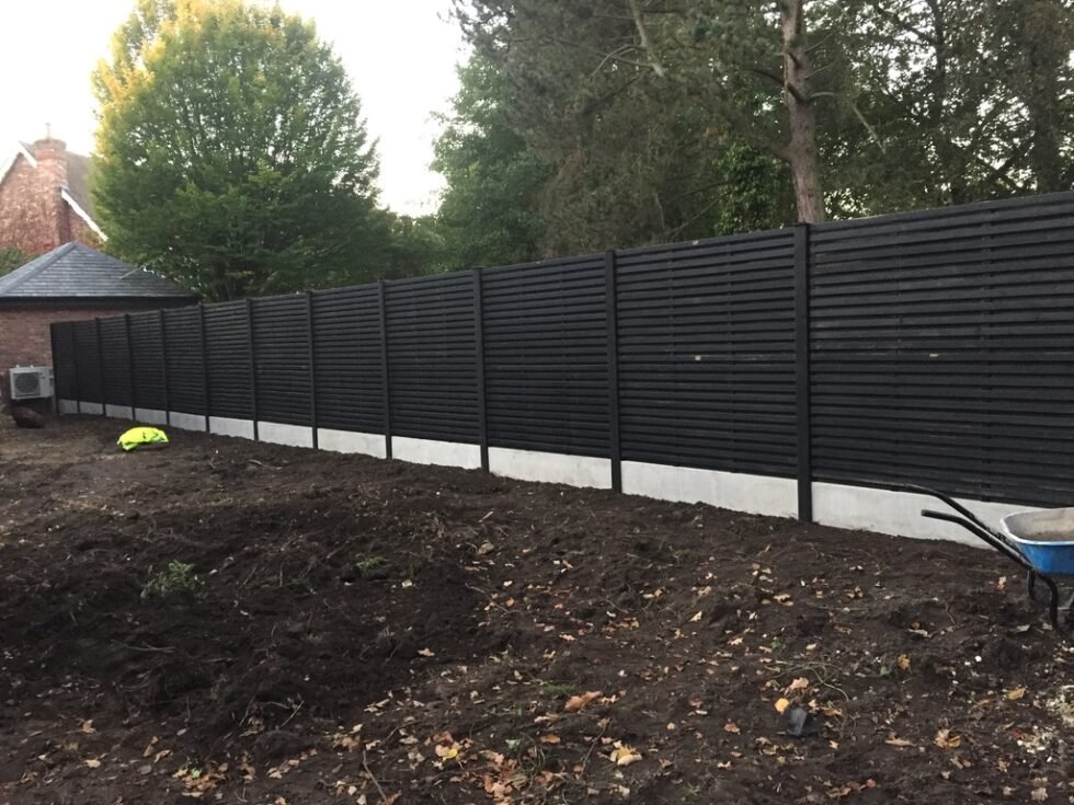 Pleached Trees Cheshire | Types, Care & Landscaping